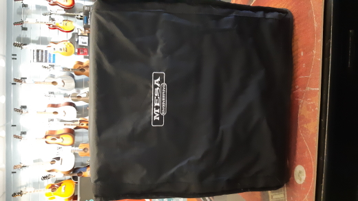 Gear Hunter | MESA 1X12 MINI RECTIFIER 19 SLANT